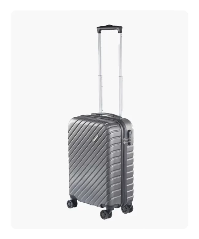 Cabin Travel Trolley Bag – Leather Techno Industries